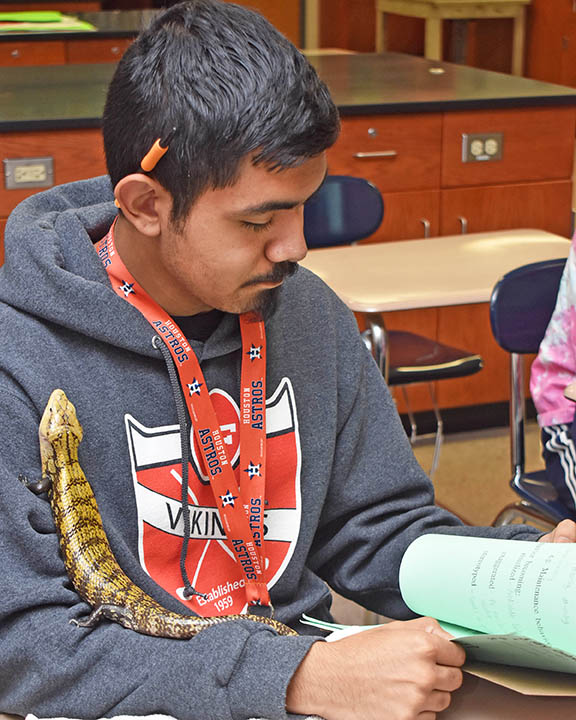 H-F’s Zoo/Bots: A truly wild learning experience - HF Chronicle