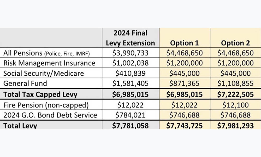Homewood considers 2025 tax levy options among rising pension costs ...
